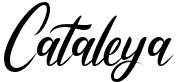 Cataleya Fonte | Visualizar