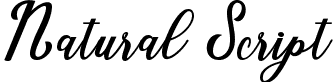Natural Script Fonte | Visualizar